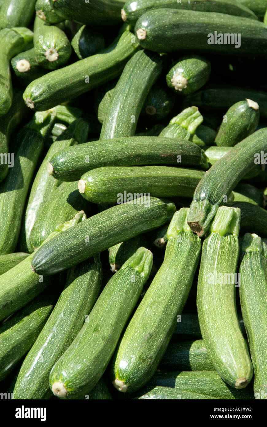 Courgette, courgettes, vegetable, green, fresh, food, healthy, diet ...