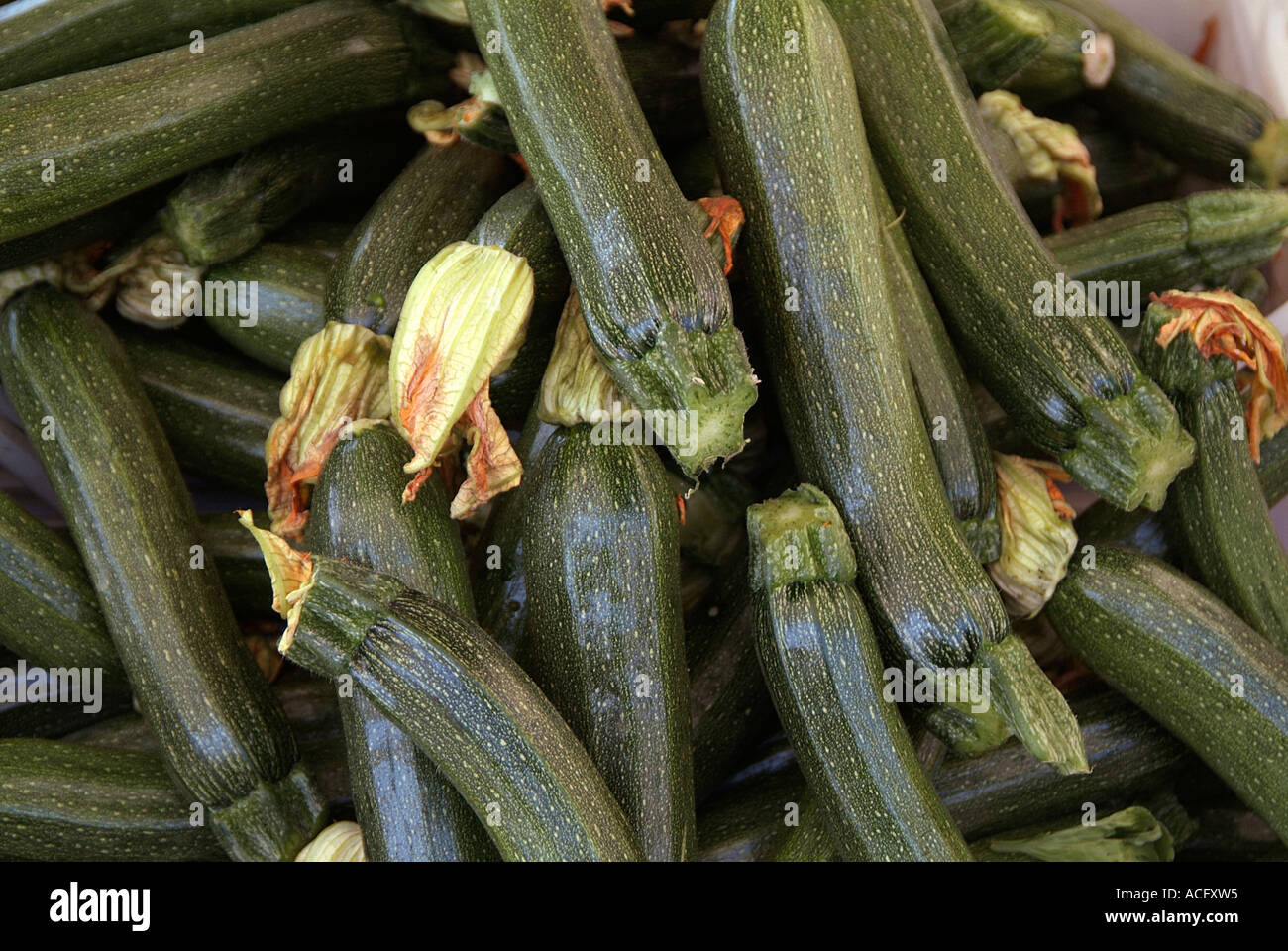 Courgette, courgettes, vegetable, green, fresh, food, healthy, diet ...