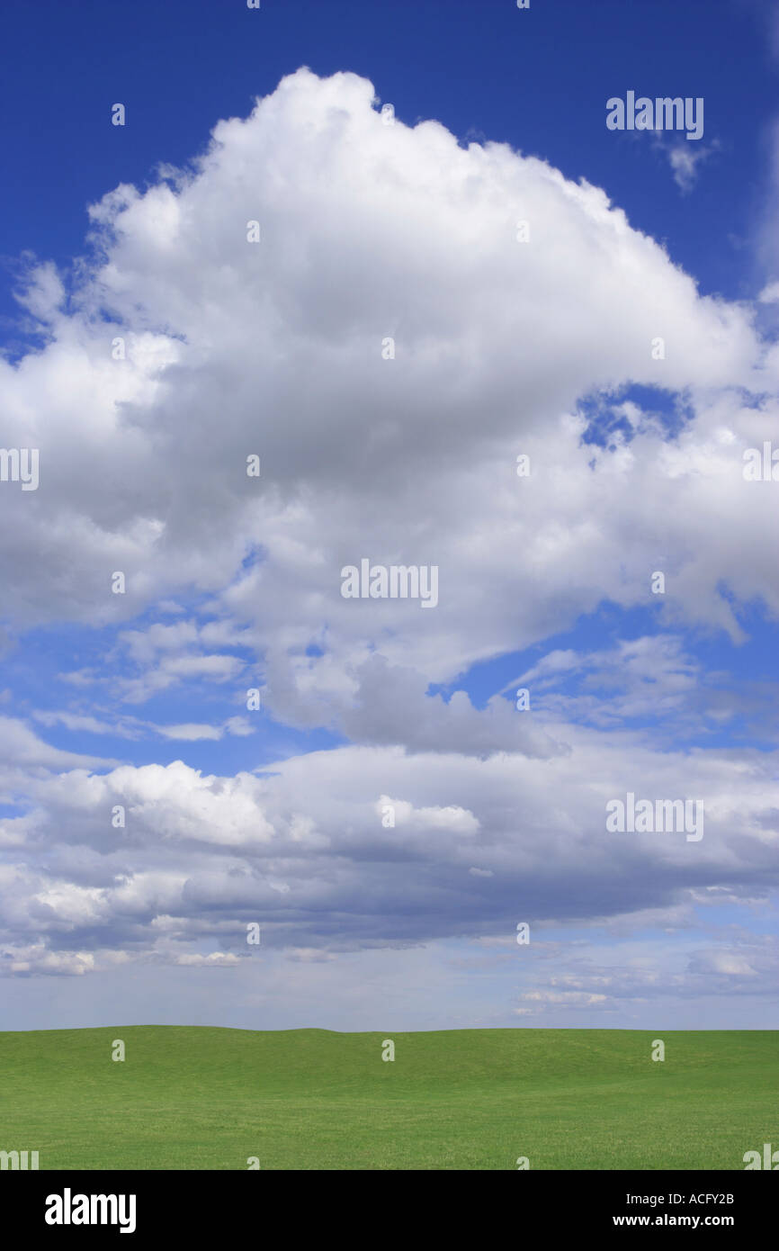 Crisp field hi-res stock photography and images - Alamy