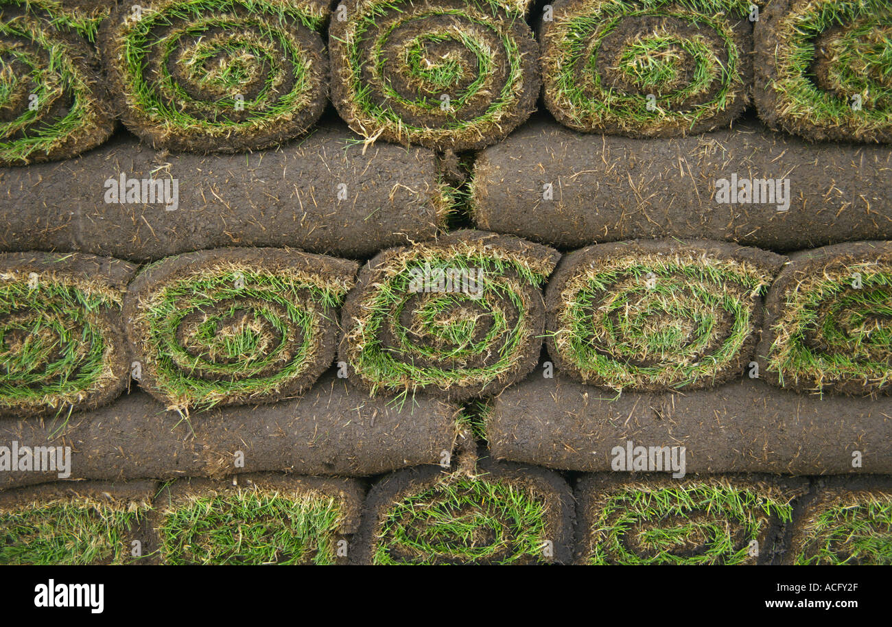 Sod design hi-res stock photography and images - Alamy