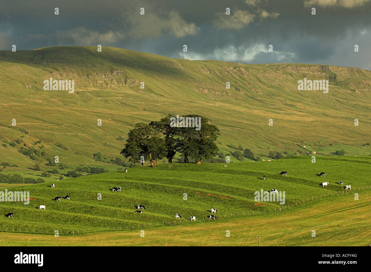 Lord manor feudal medieval hi-res stock photography and images - Alamy