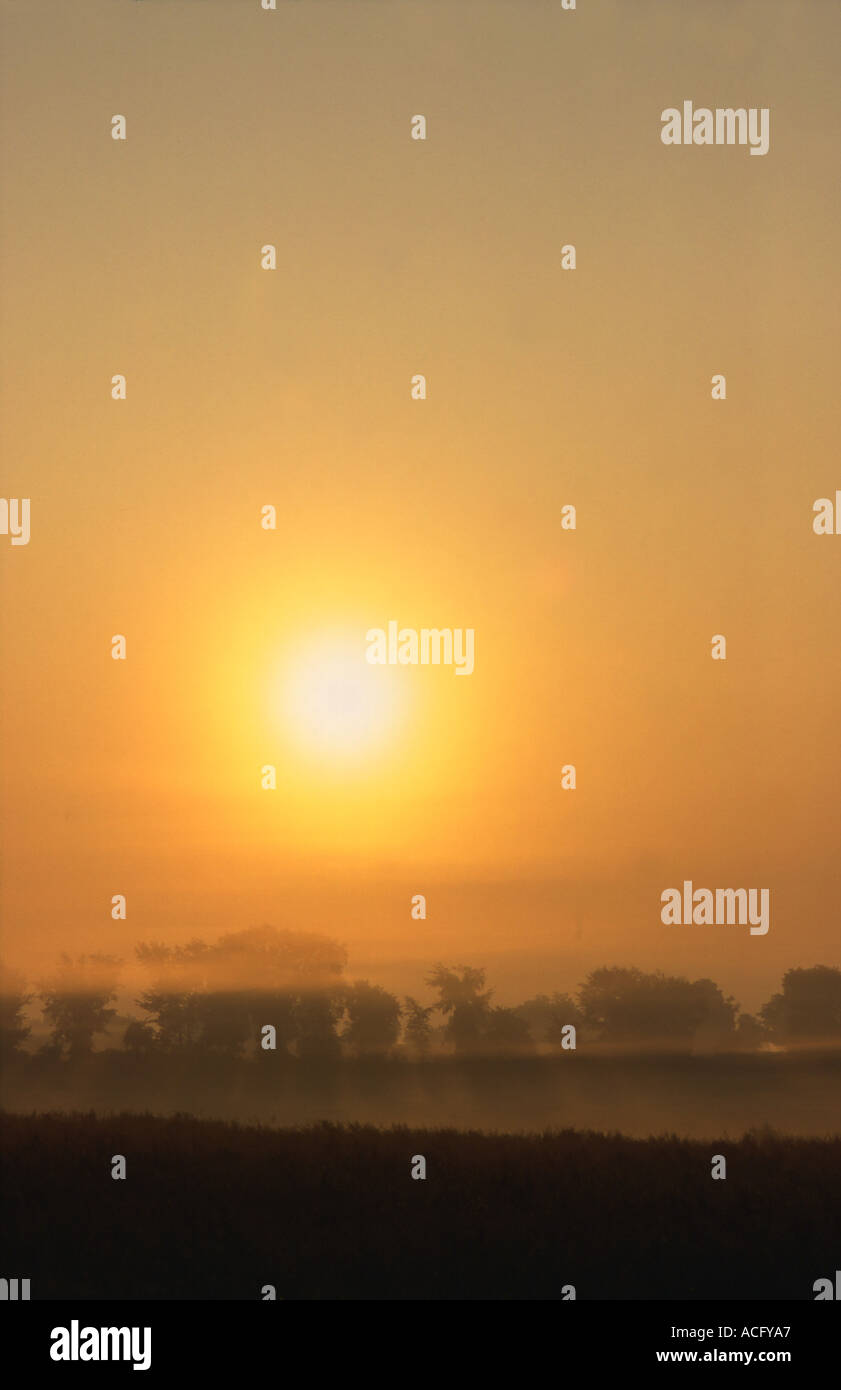 Early golden morning Stock Photo - Alamy