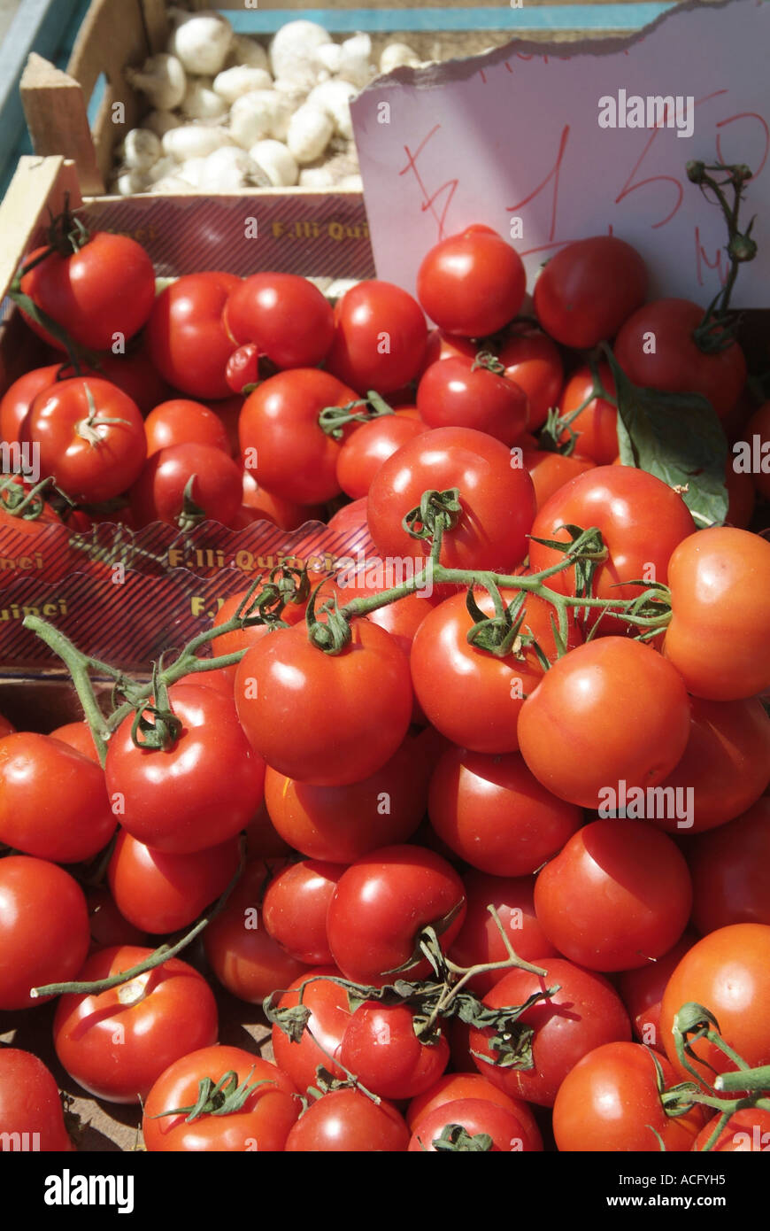 tomato, tomatoes, red, fresh, fruit, veg, vegetables, stalk, health ...