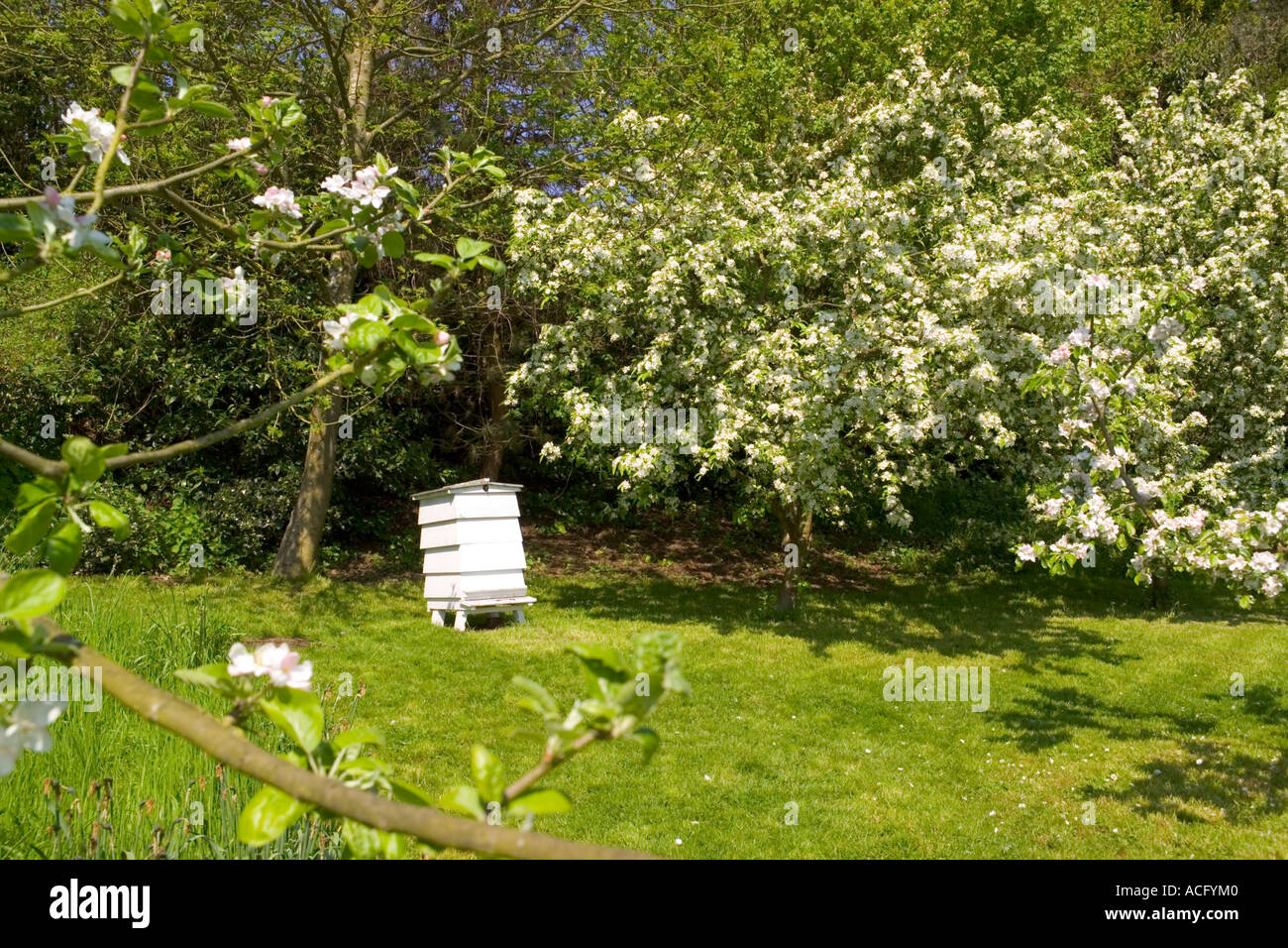 Bee hive in apple orchard hi-res stock photography and images - Alamy
