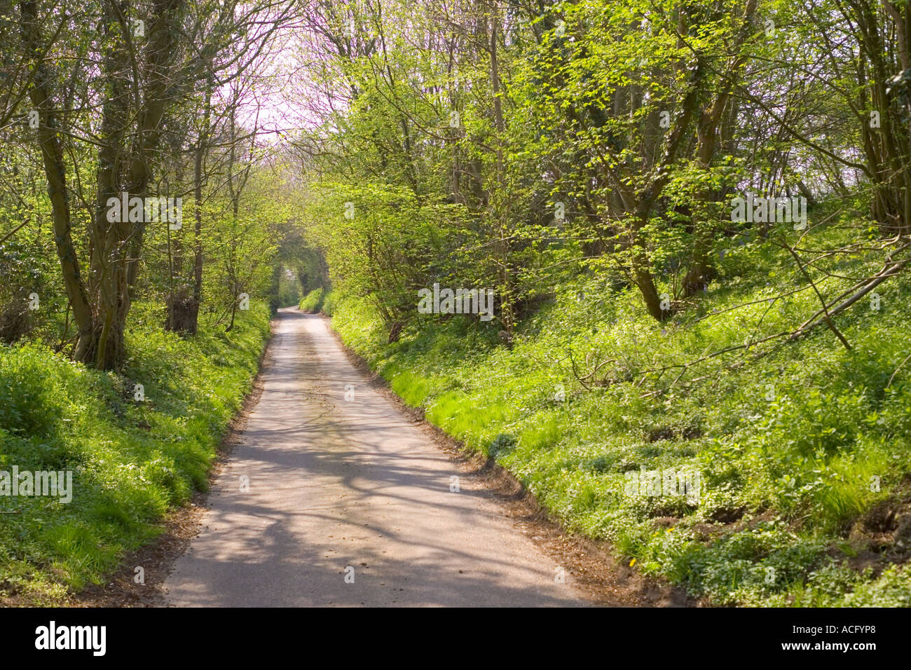 Kent country lane hi-res stock photography and images - Alamy