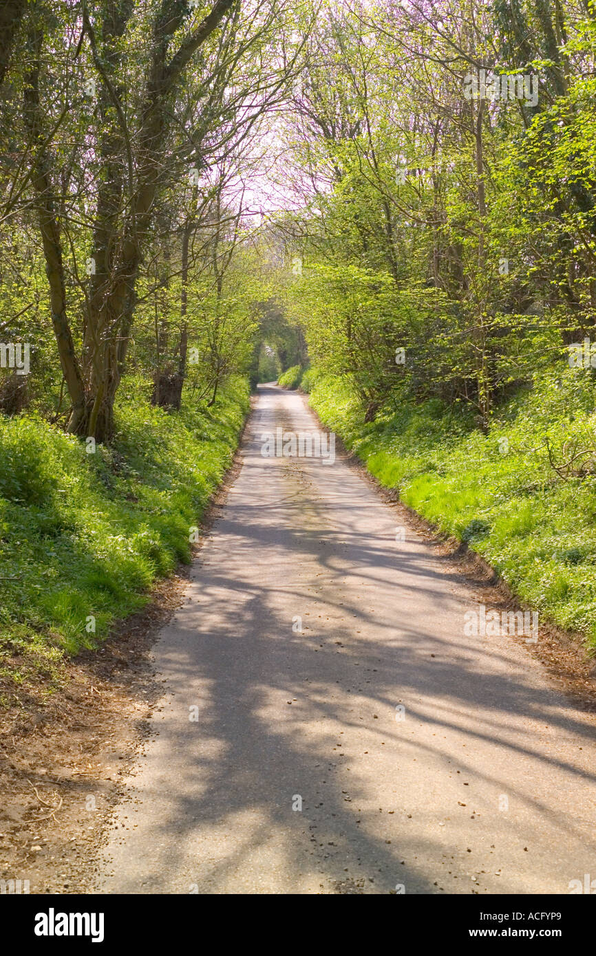 Kent countryside in early spring hi-res stock photography and images ...