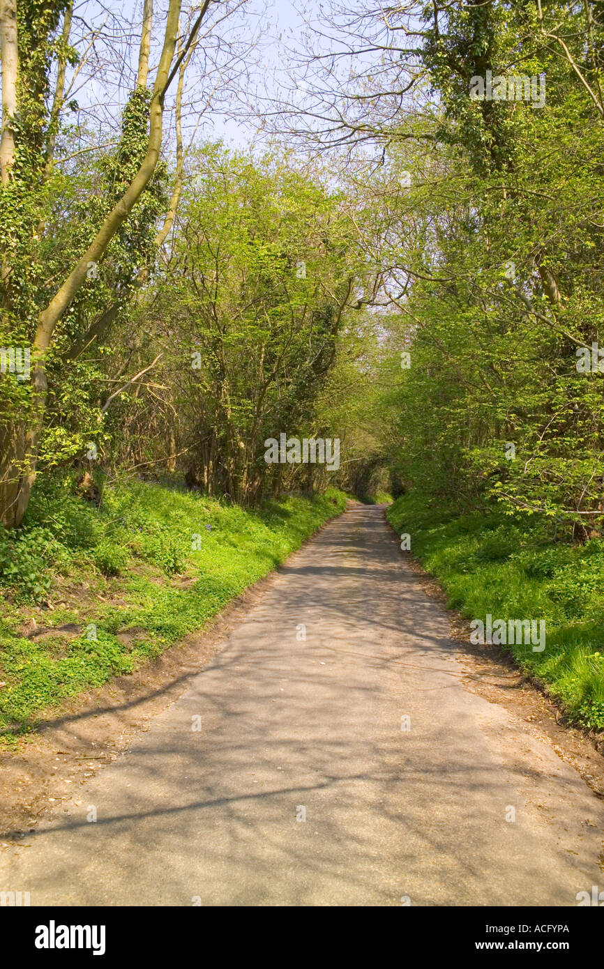 Country lane in early spring Stock Photo - Alamy