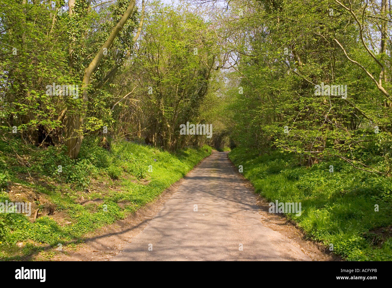 Kent country lane hi-res stock photography and images - Alamy