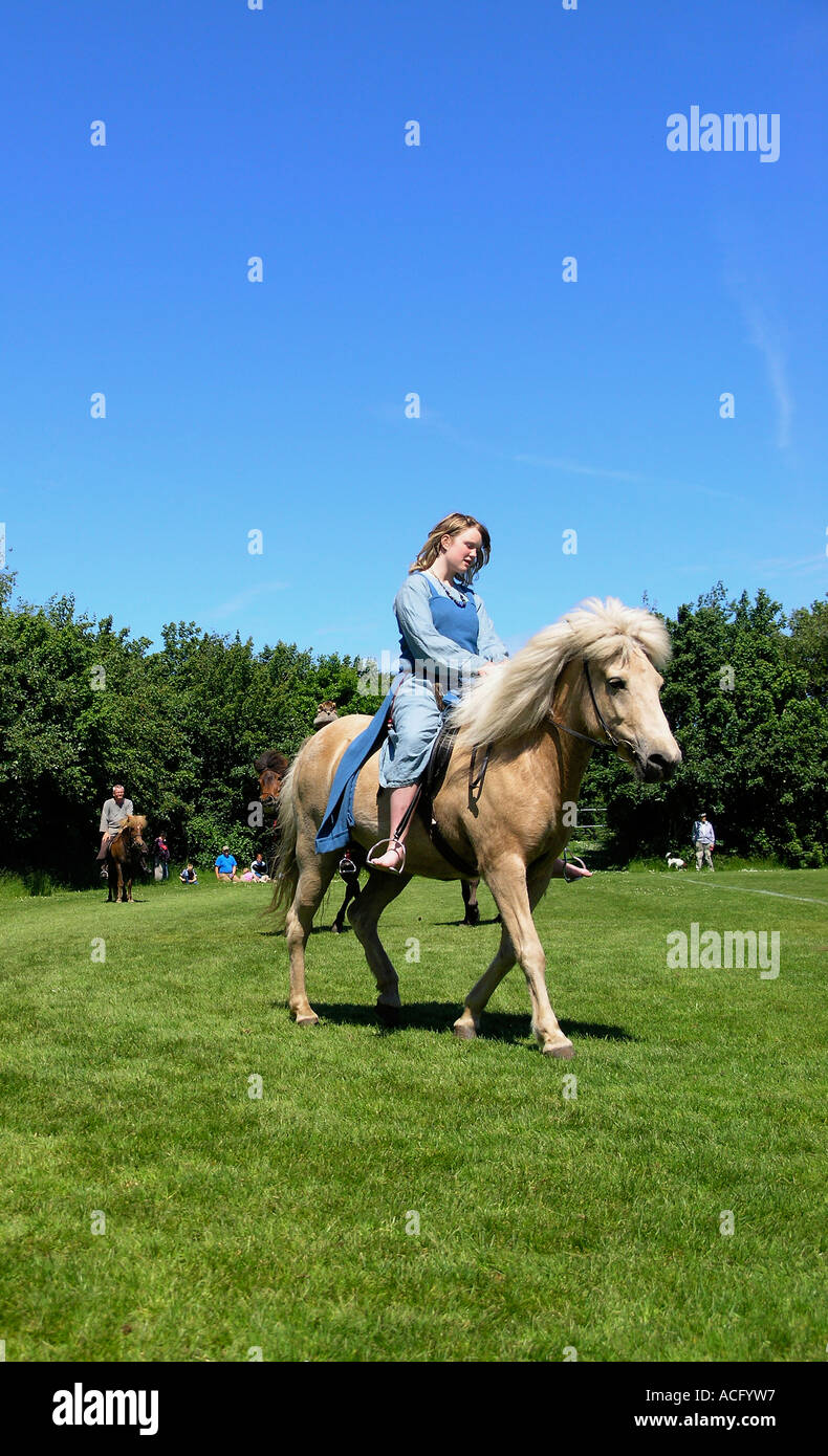 horseback riding show on Icelandic horses Jutland Denmark Stock Photo ...