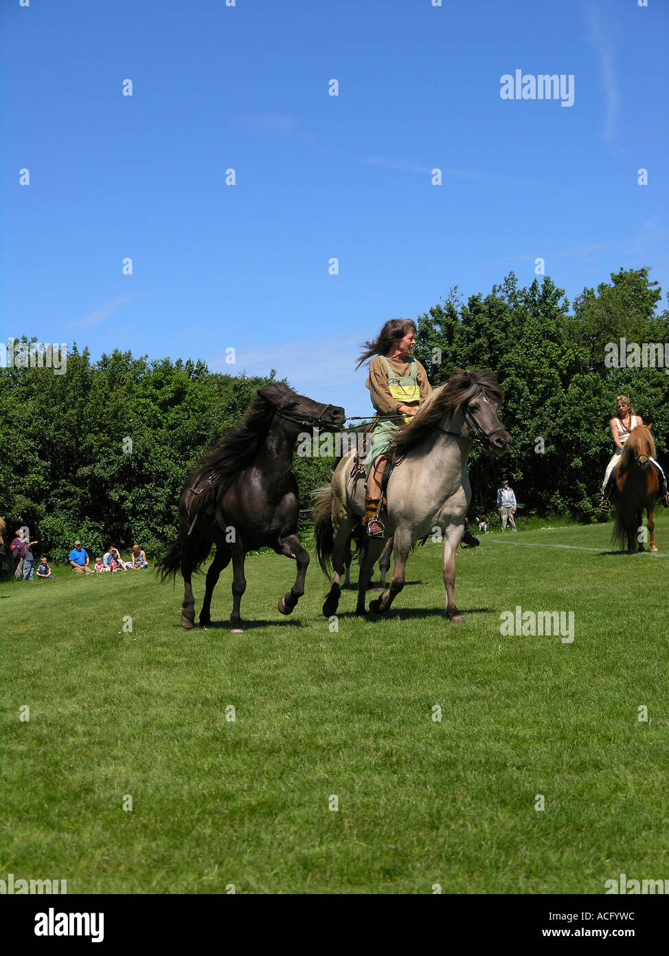 Show horses hi-res stock photography and images - Alamy