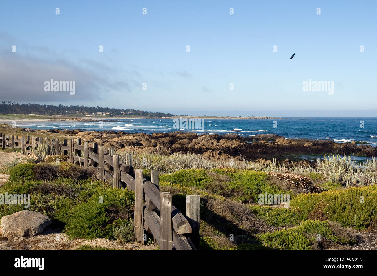 Seventeen Mile Drive Stock Photo - Alamy