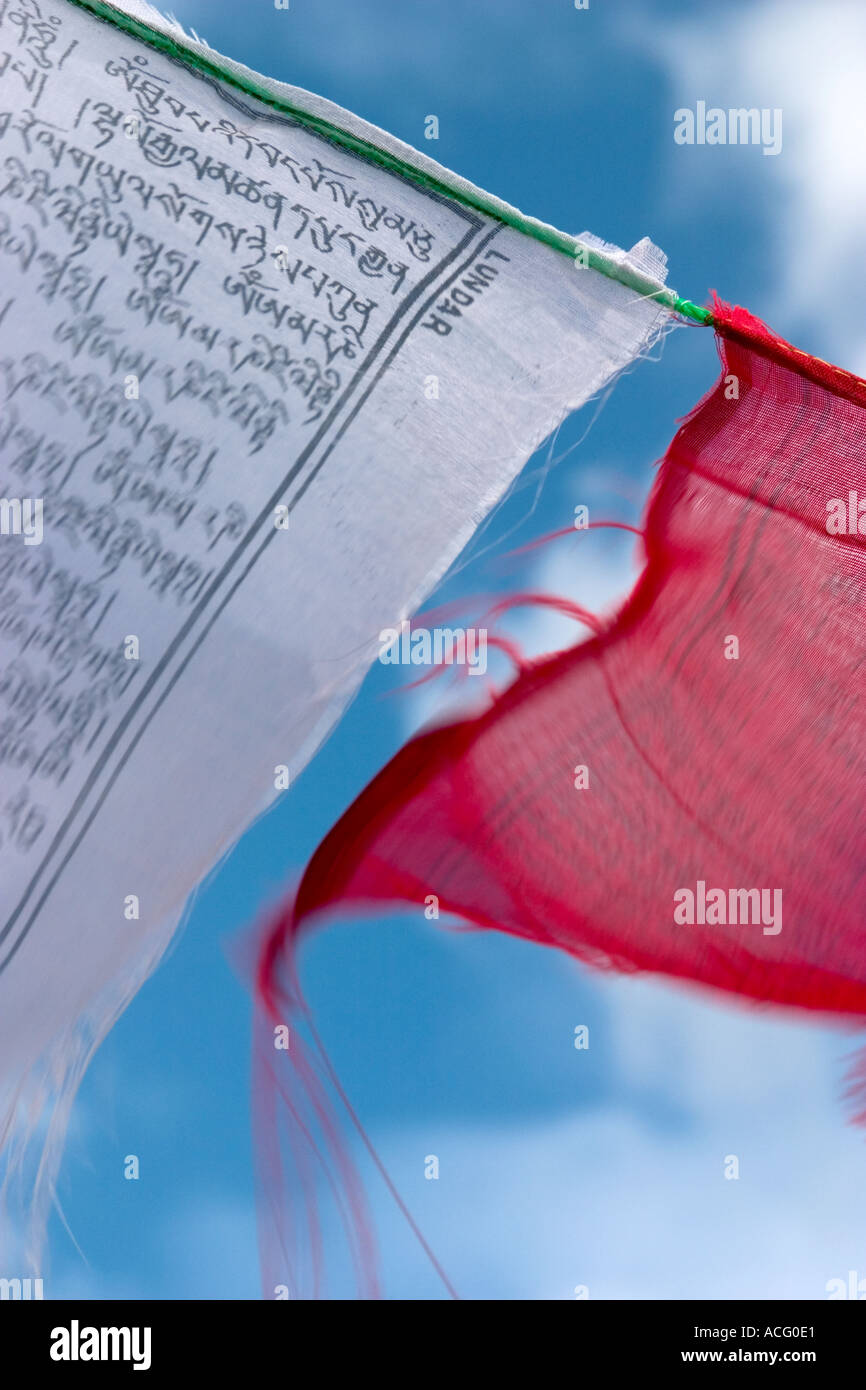 Prayer flags flying in the wind Stock Photo - Alamy