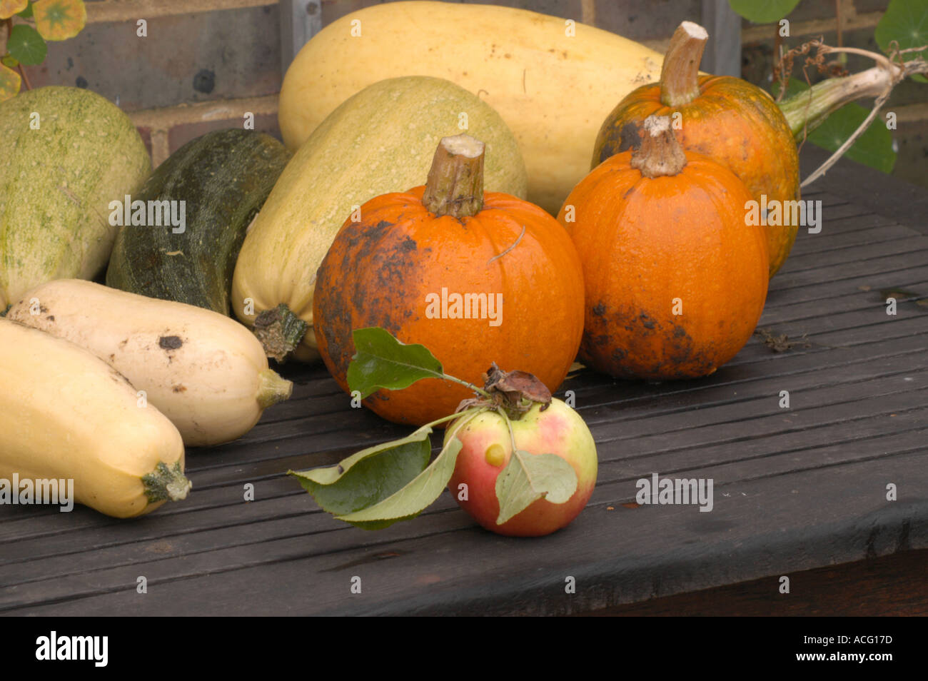 Fruits of Autumn Stock Photo - Alamy