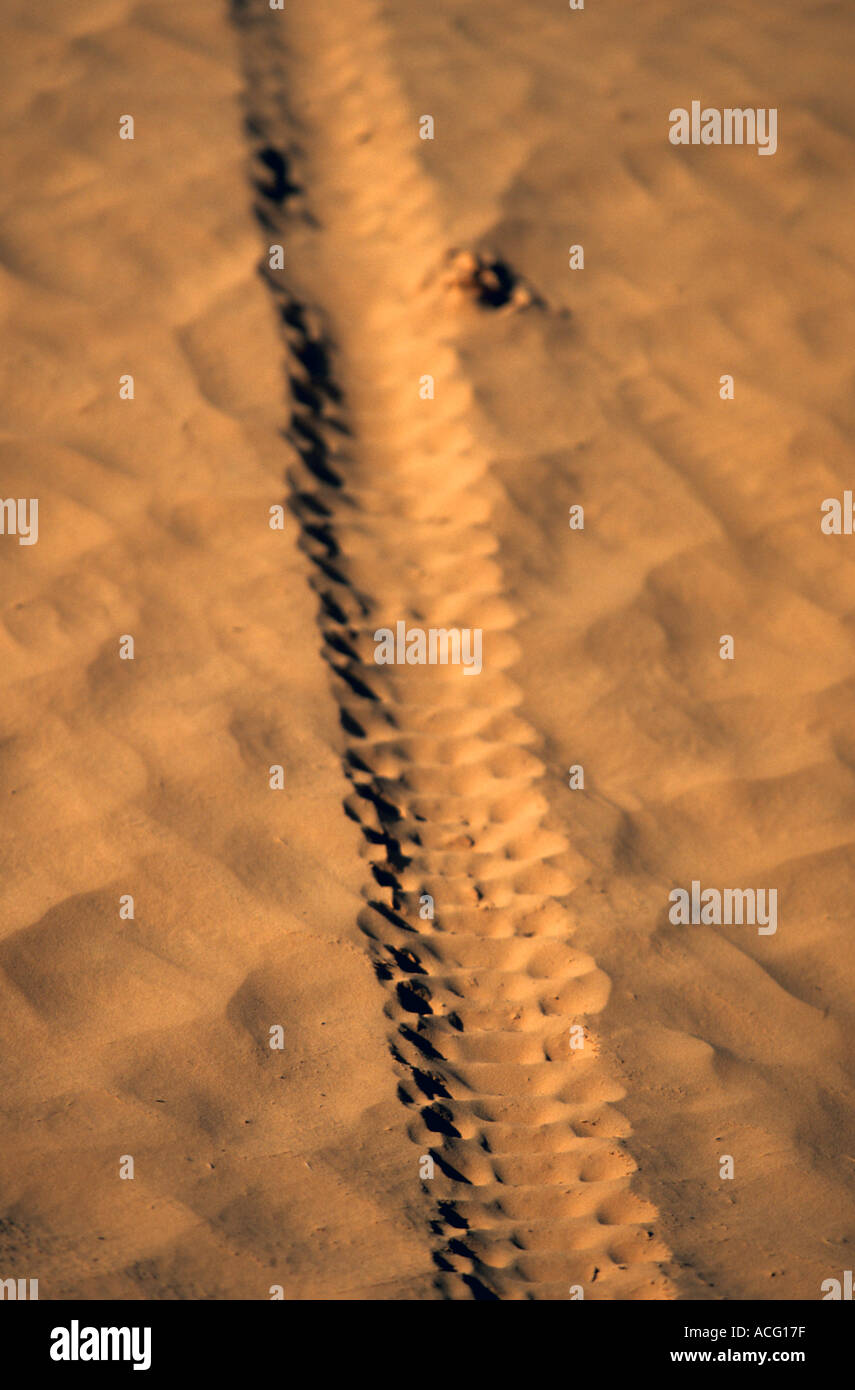 Sand stretch marks hi-res stock photography and images - Alamy