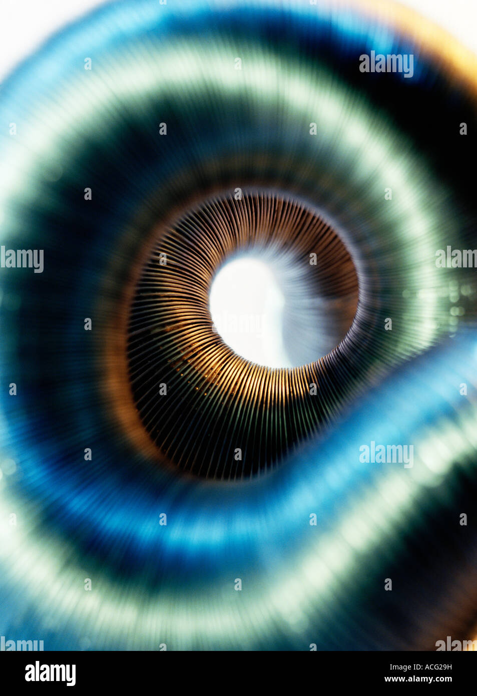 A spiral-shaped object shimmering in green close-up Stock Photo - Alamy