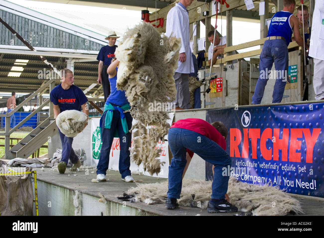 Female Sheep Shearer High Resolution Stock Photography and Images - Alamy
