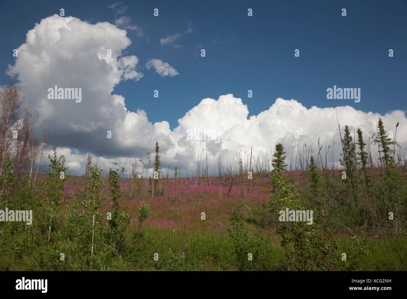 Clouds over mountains along the Taylor Highway in Alaska Stock Photo ...