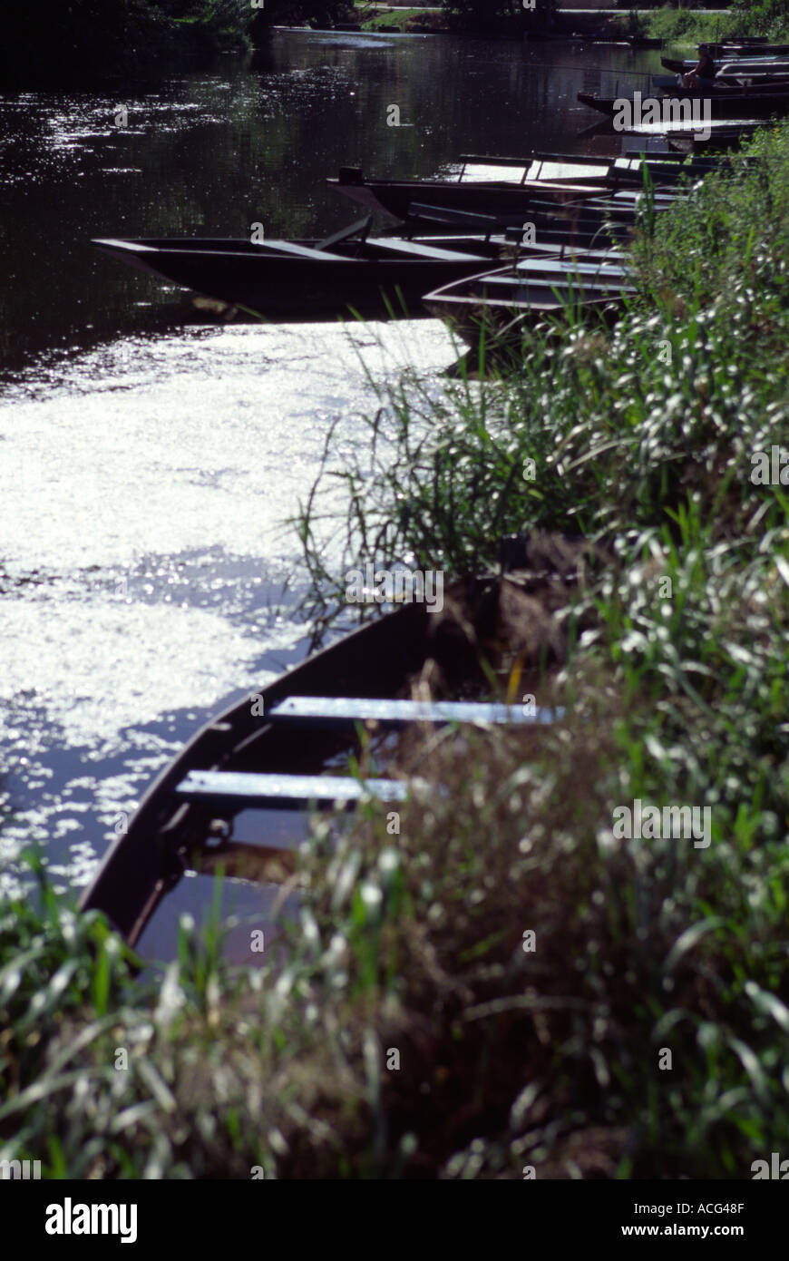 Punt boat hi-res stock photography and images - Alamy