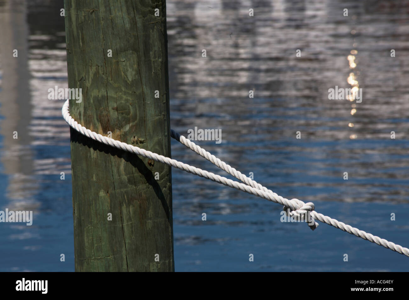 Rope tied to piling in Bradenton Marina in Florida Stock Photo - Alamy