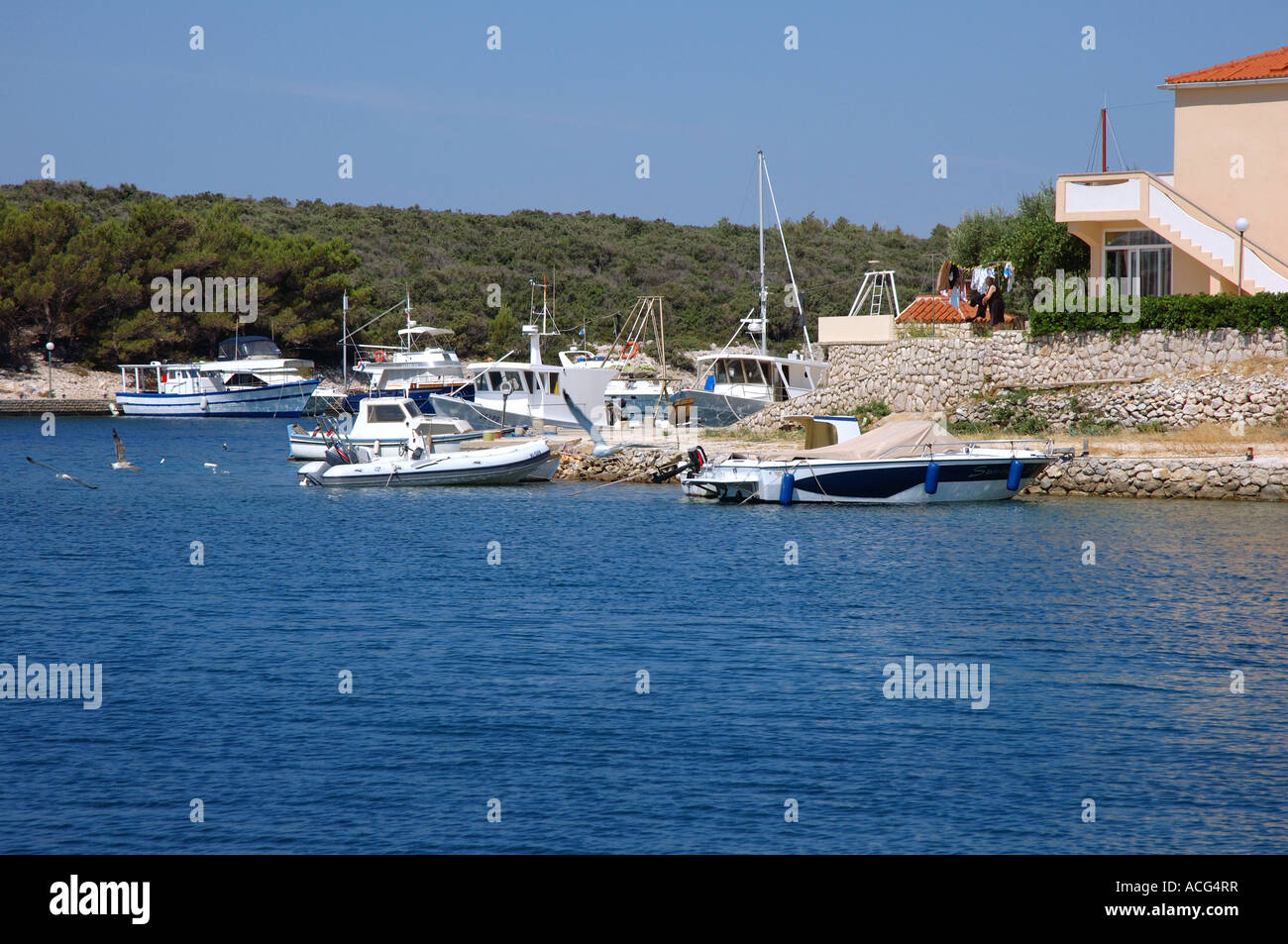 Simuni Pag Island Dalmatia Croatia former ex Yugoslavia Pago Dalmacija ...