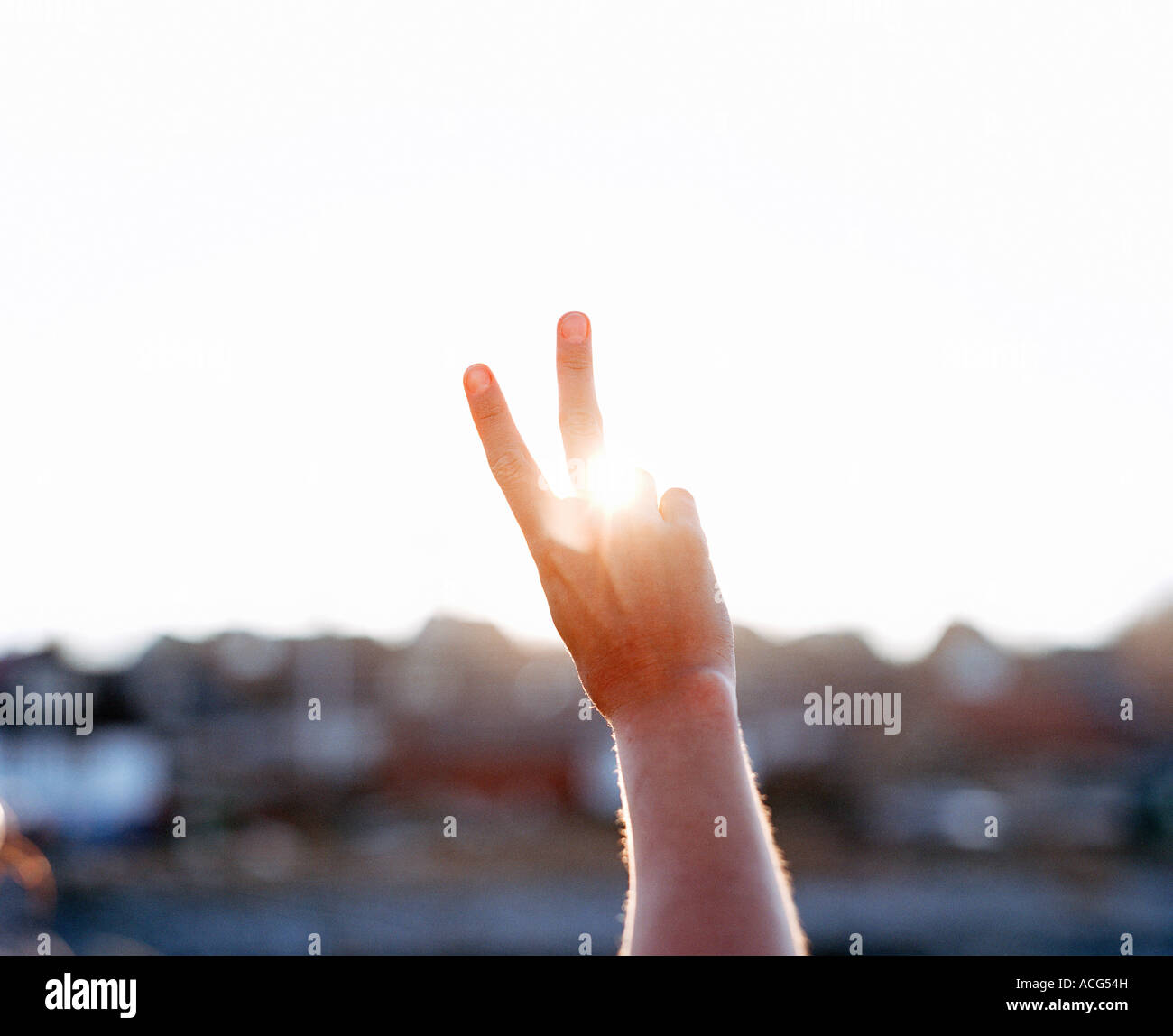 A hand photographed against the light Stock Photo - Alamy