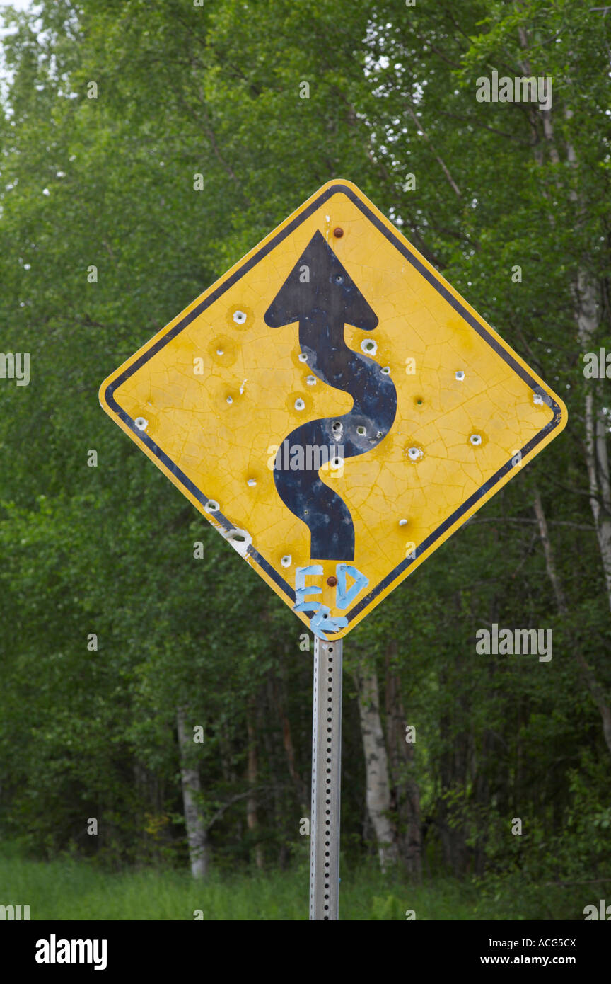 Curves road sign with bullet holes on road in central Alaska Stock ...
