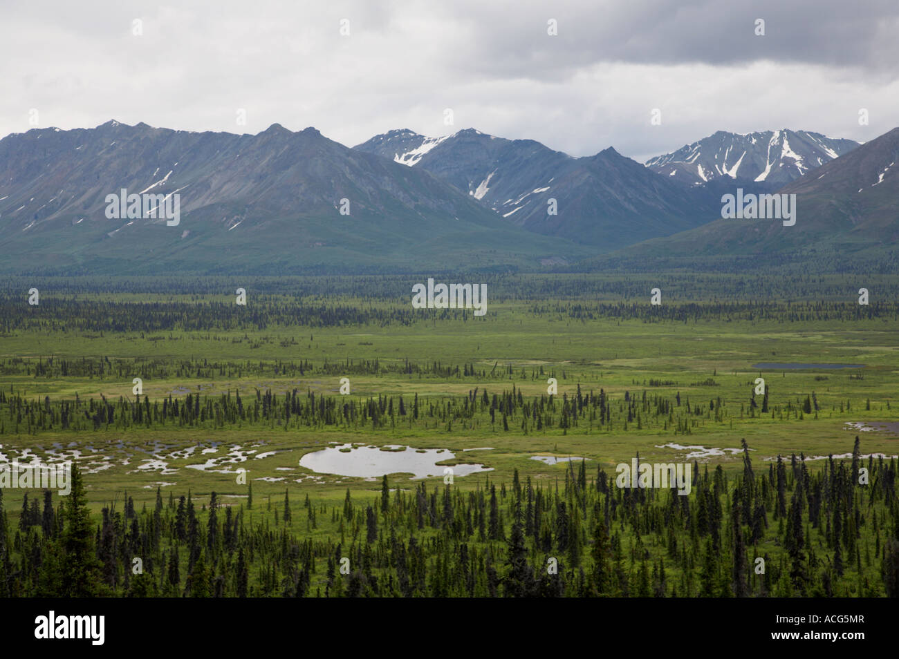 Small ponds with Chucagh Mountains in background along the Glenn ...