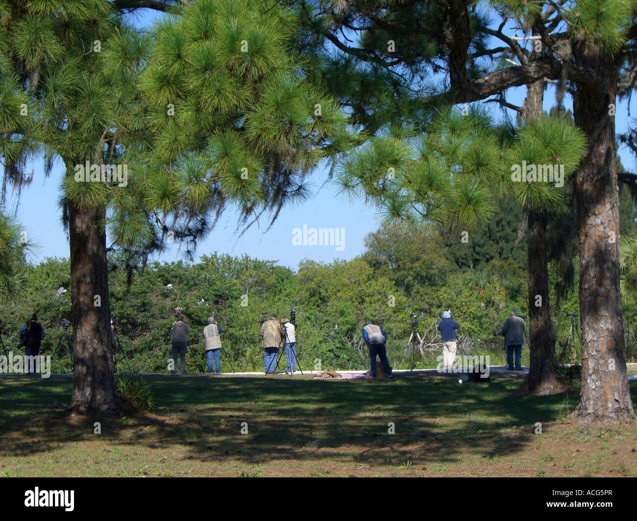 Photographers lined up to photograph birds at the Venice Audubon ...