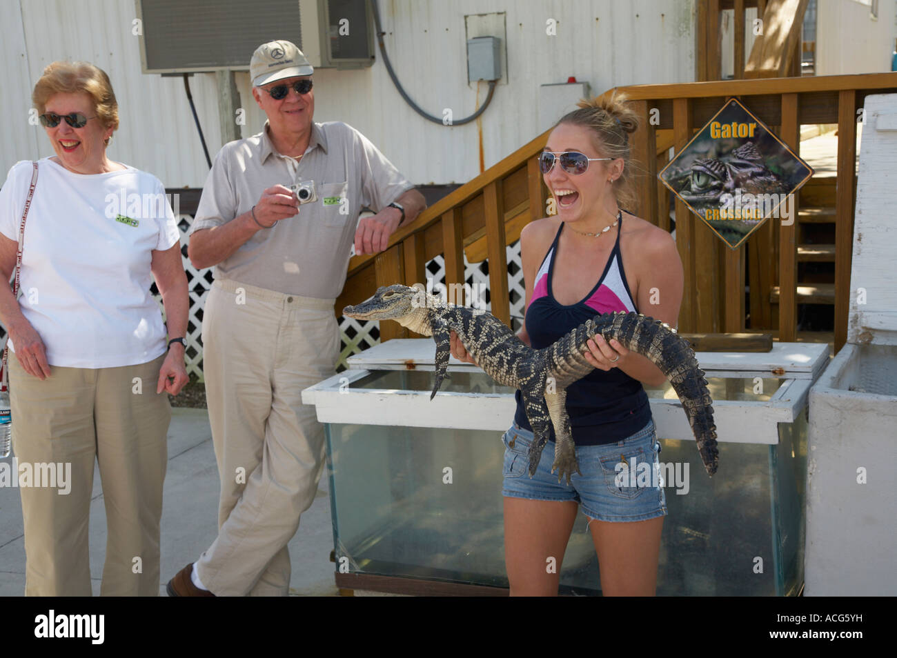 Girl holding baby alligator after airboat ride though mangrove jungles ...