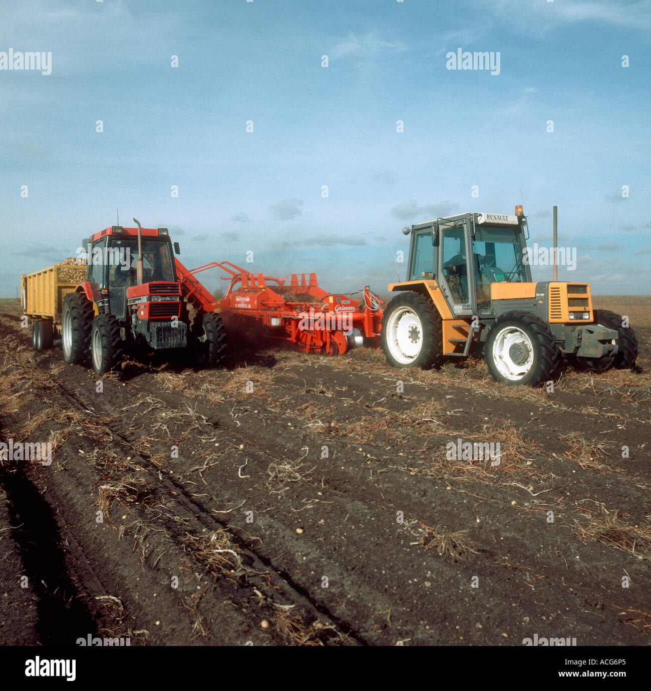 Renault tractor and Grimme harvester elevating a Fenland potato crop ...