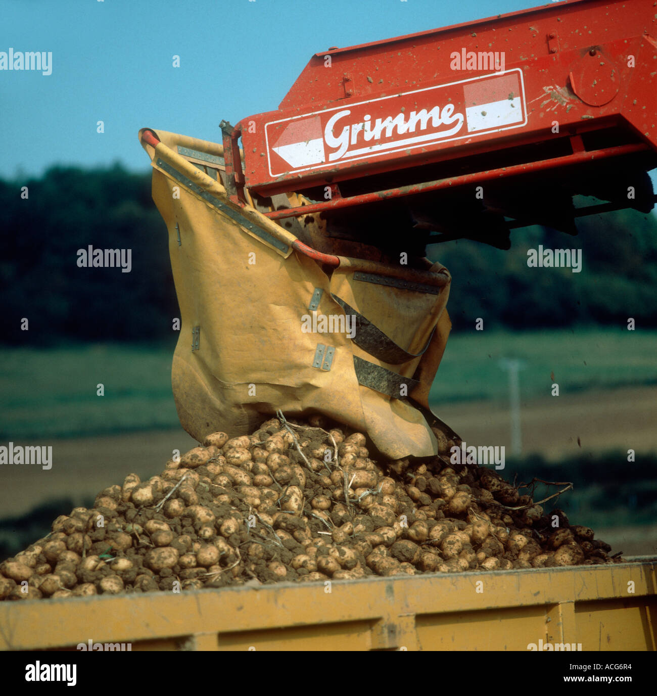 Grimme elevator discharging potato crop into trailer Stock Photo - Alamy