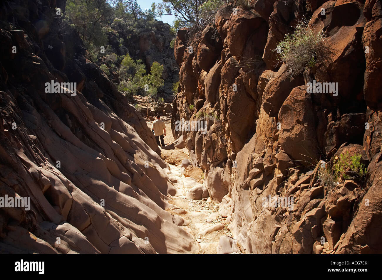 Sacred Canyon Flinders Ranges South Australia Australia Stock Photo - Alamy