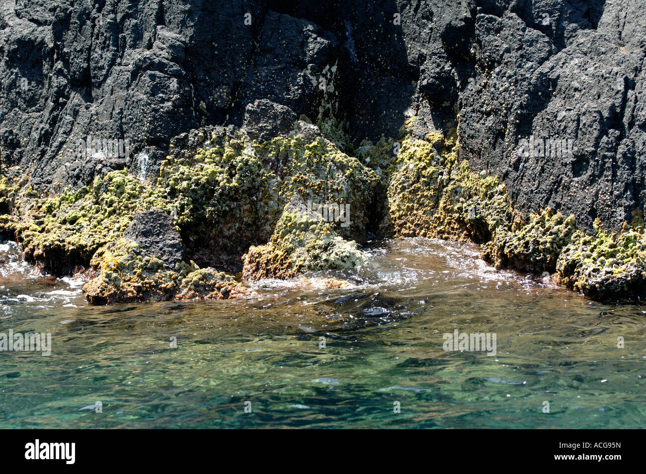 Water line with larval rocks and seaweed and algae clear Mediterranean ...
