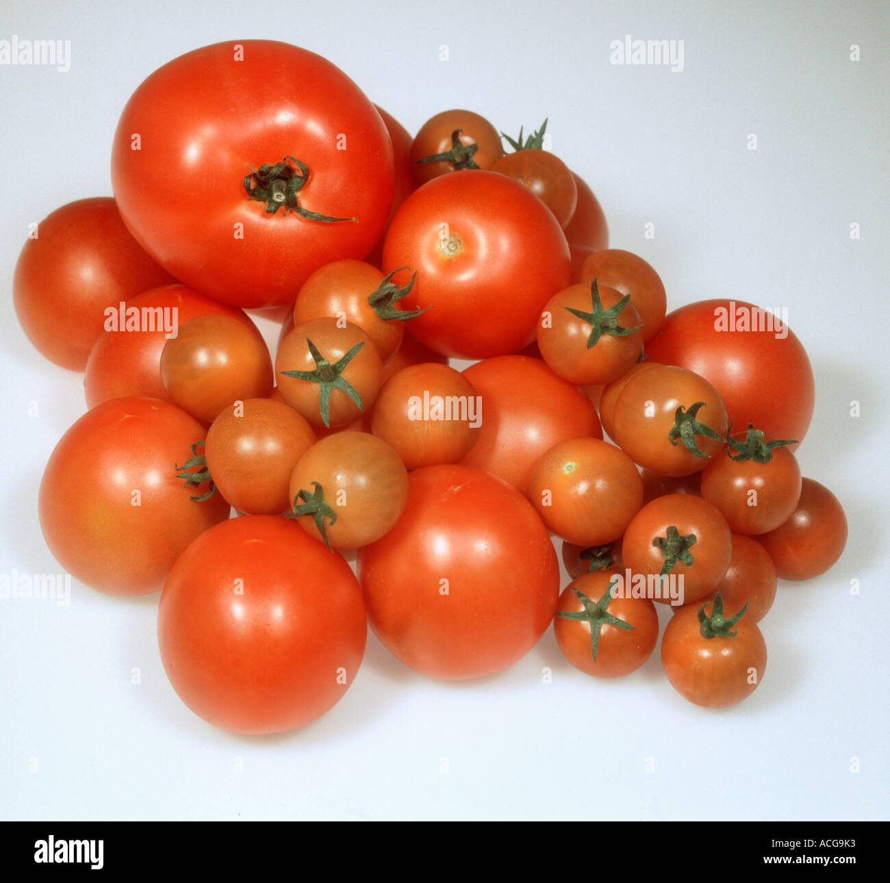 Standard variety hi-res stock photography and images - Alamy