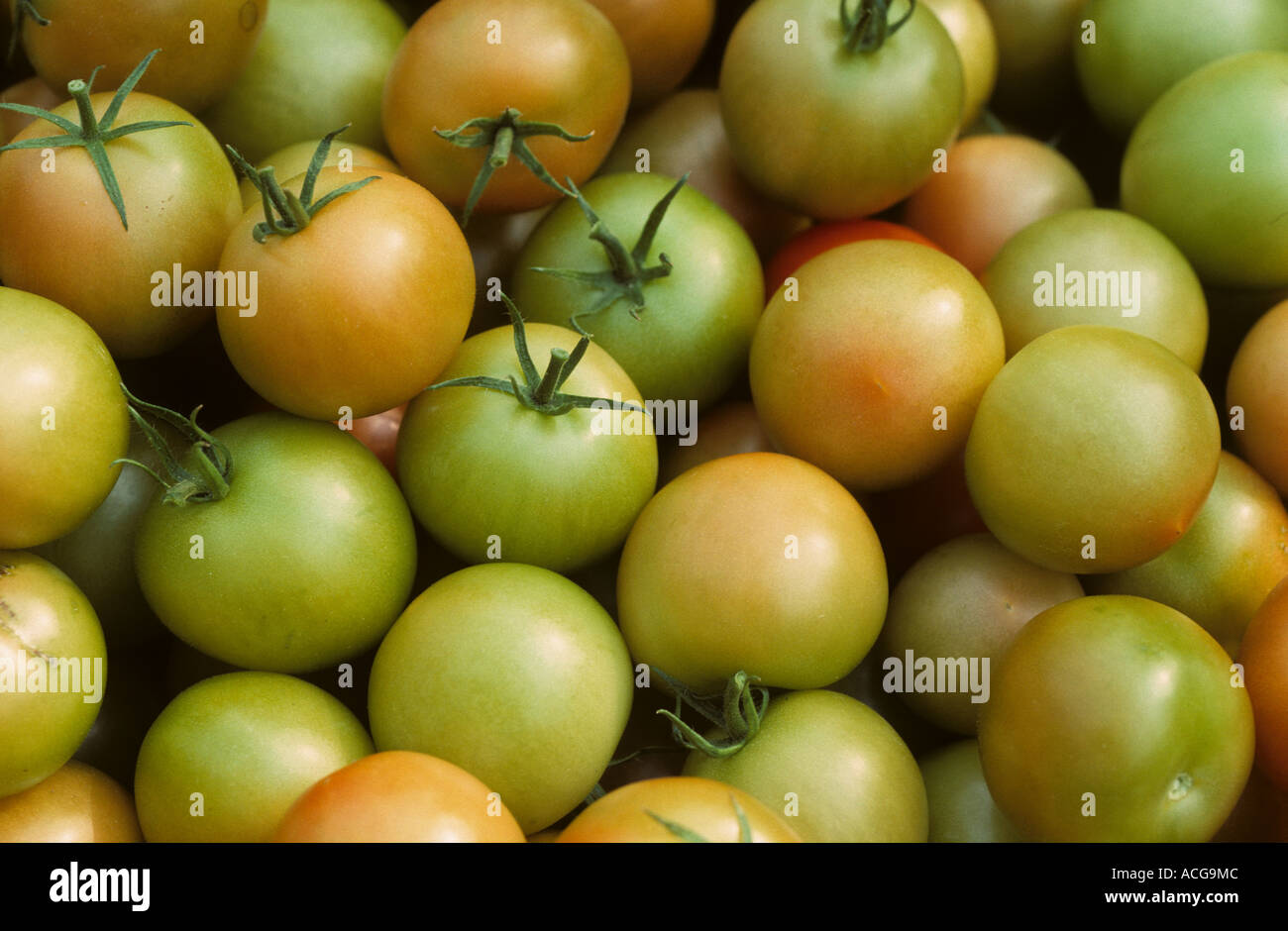 Shelf life hi-res stock photography and images - Alamy