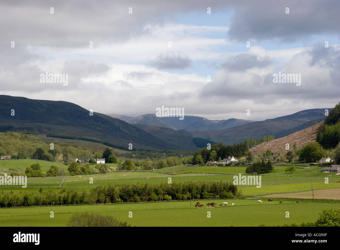 Scottish village alyth scotland hi-res stock photography and images - Alamy