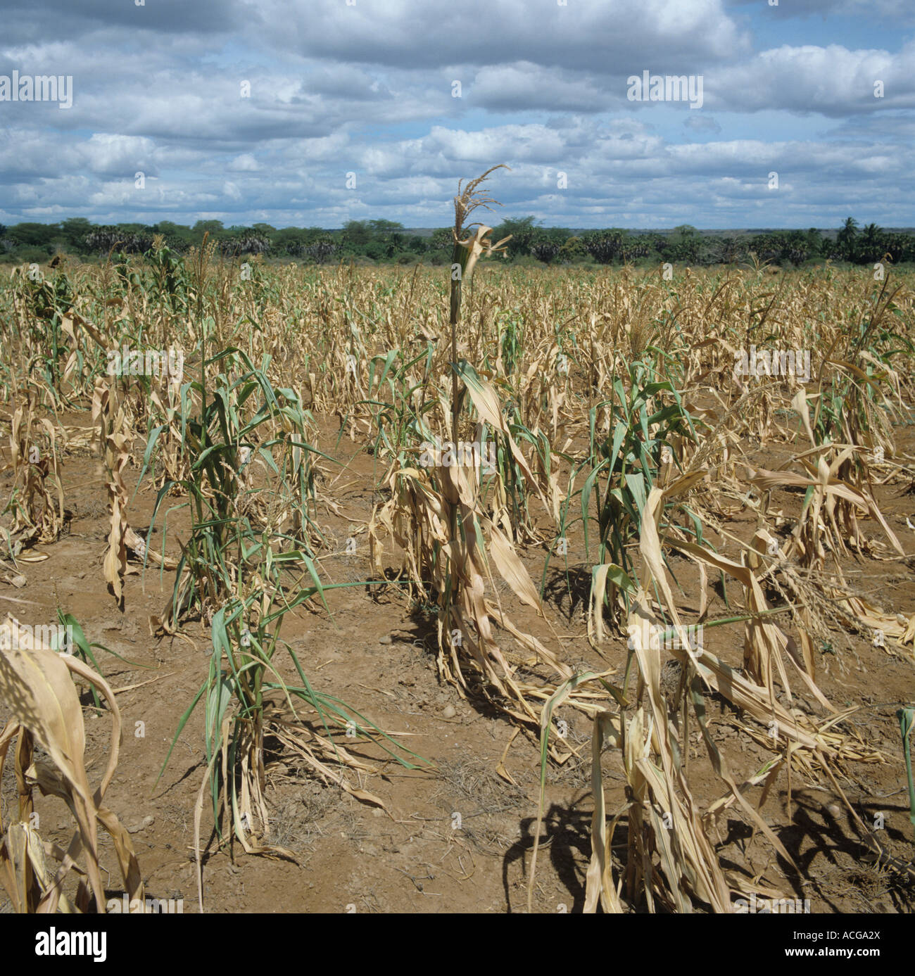 Food crisis africa hi-res stock photography and images - Alamy