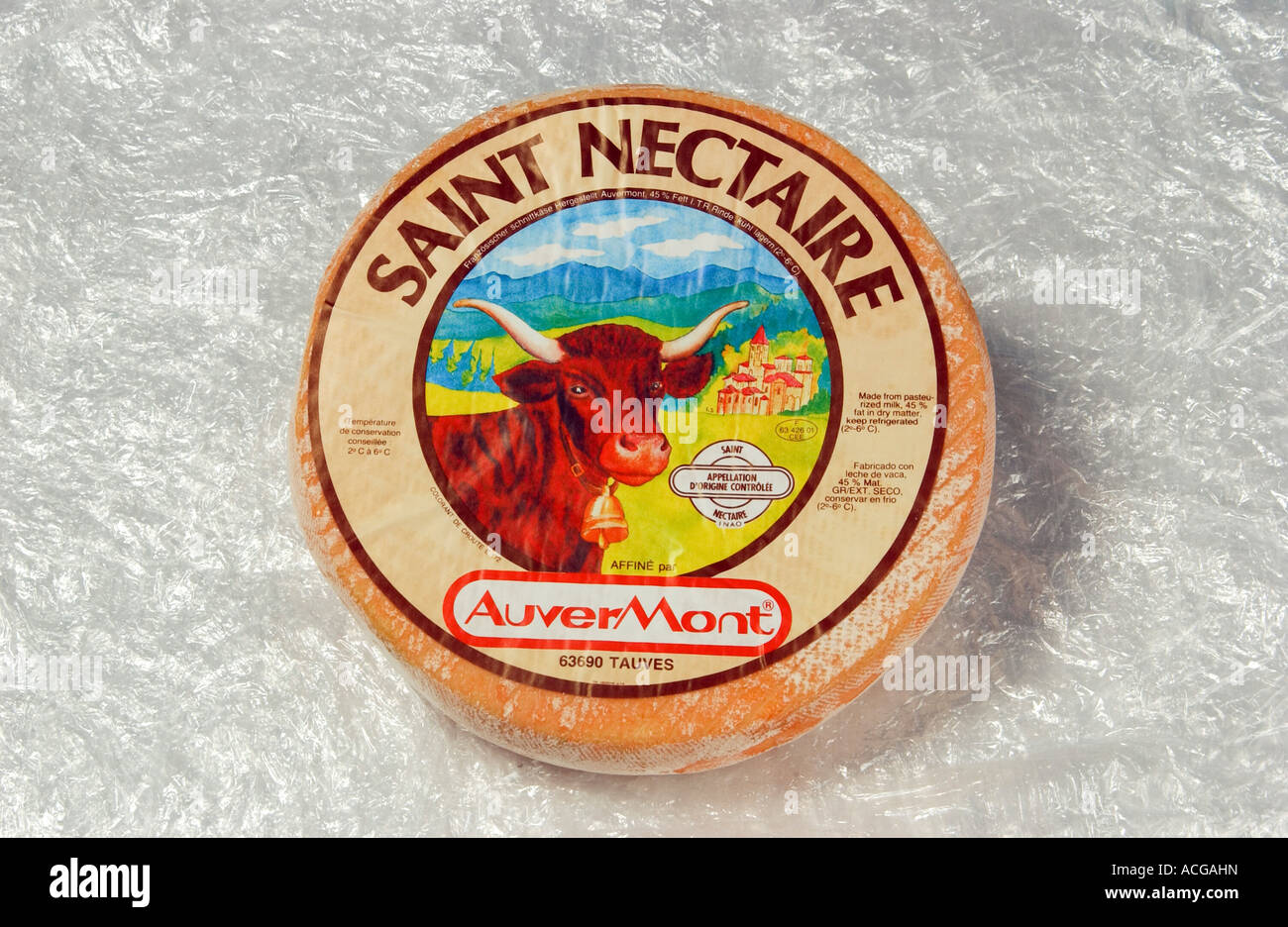 Saint Nectaire cheese Auvergne France Stock Photo - Alamy