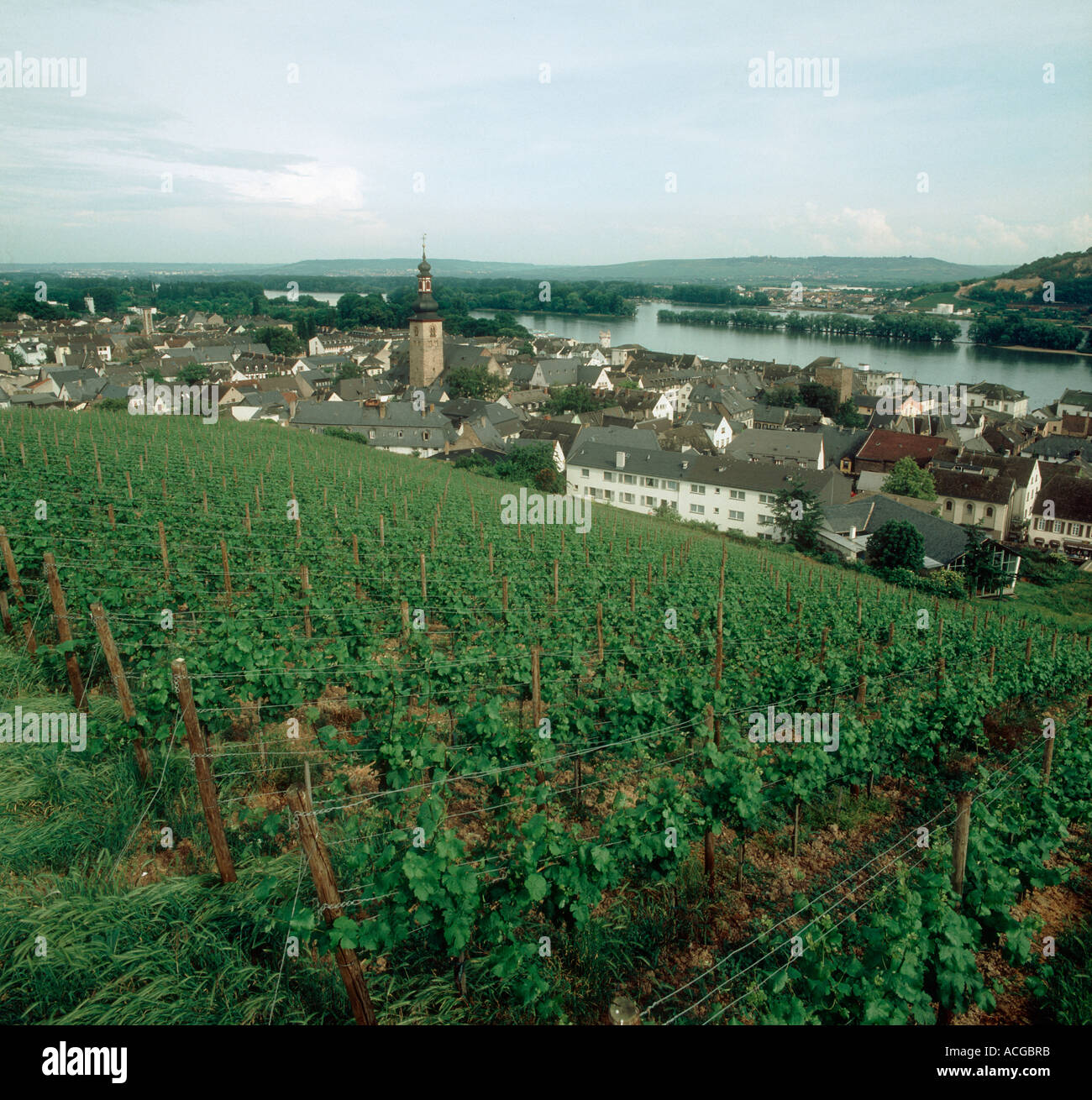 Bank of the rhine with a view of the rhine hi-res stock photography and ...