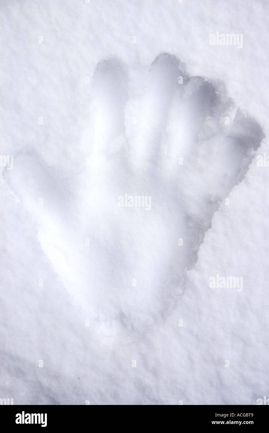 Hand print in the snow Stock Photo - Alamy