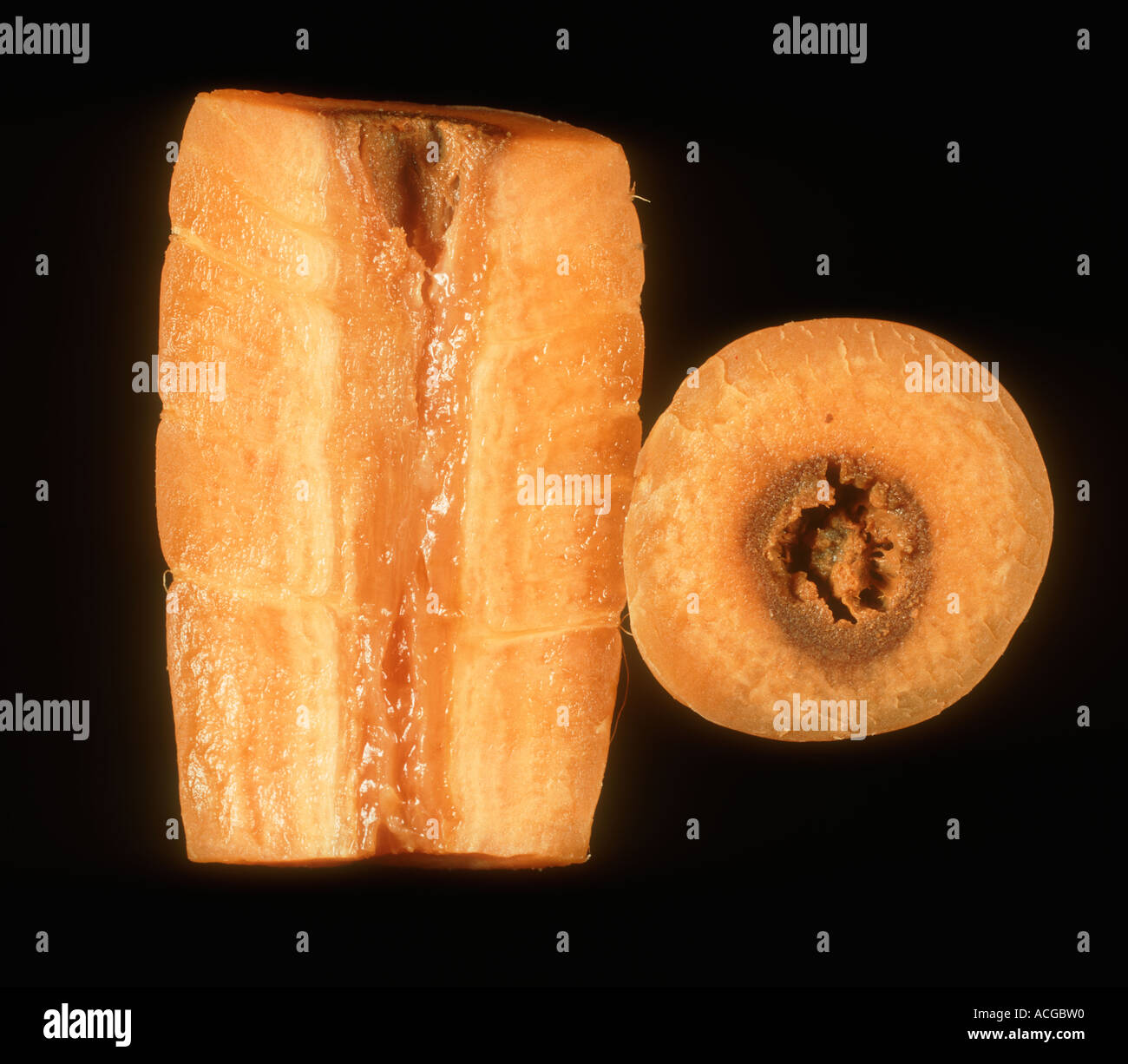Boron deficiency symptoms in sectioned carrot root Stock Photo - Alamy