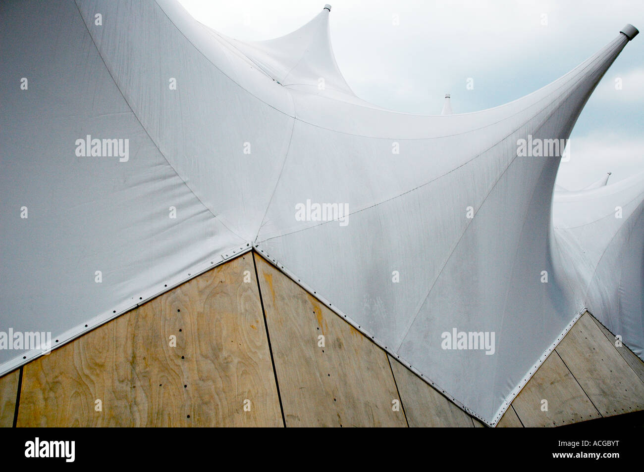 Wood white cutty shark Stock Photo - Alamy