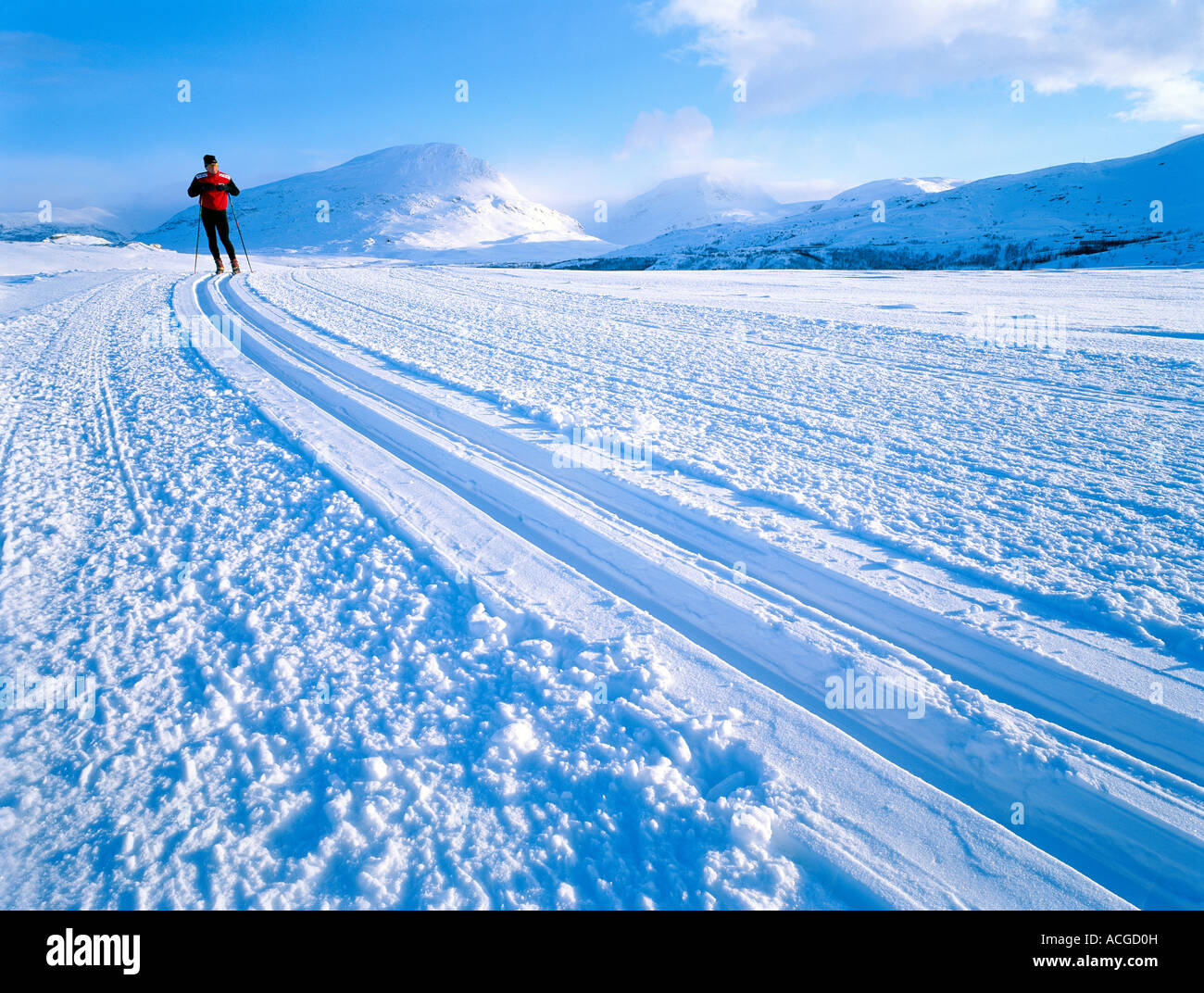 A long-distance skier in northern Sweden Stock Photo - Alamy