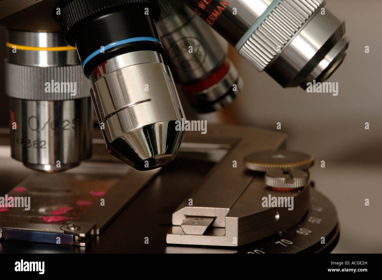 A microscope is a crucial piece of equipment for any laboratory ...