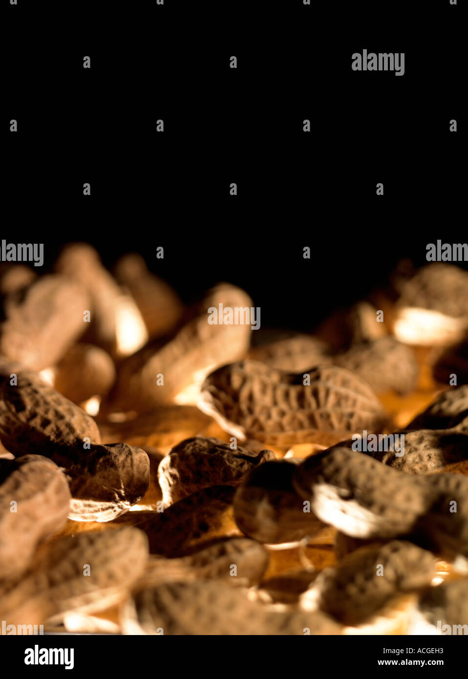 Peanuts grown hi-res stock photography and images - Alamy
