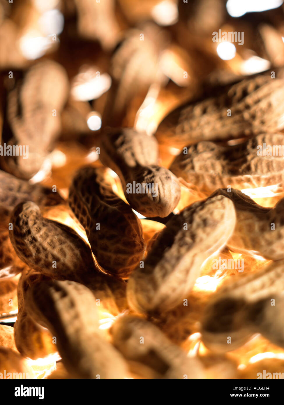 portrait shot of peanuts Stock Photo - Alamy