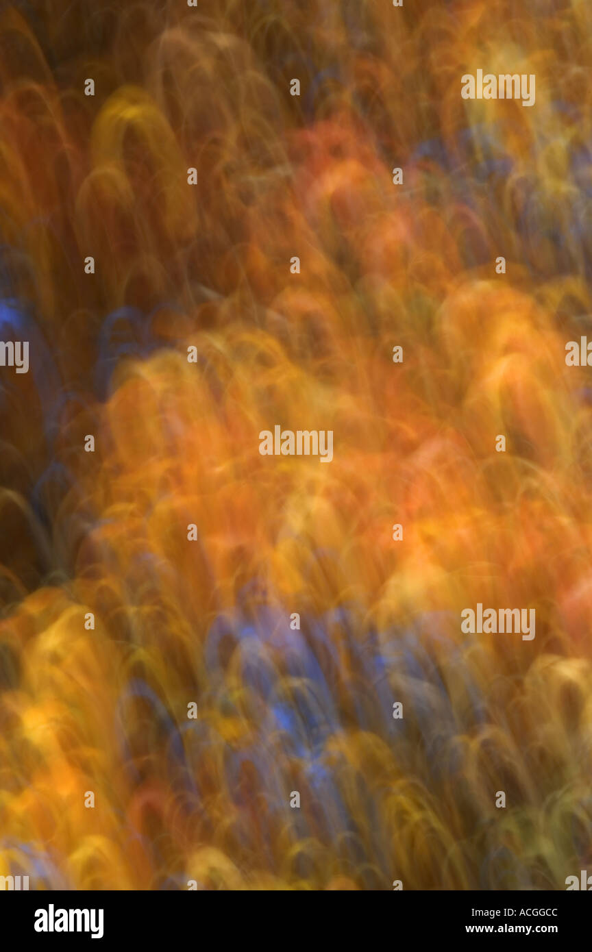 Abstract fall colors Stock Photo - Alamy
