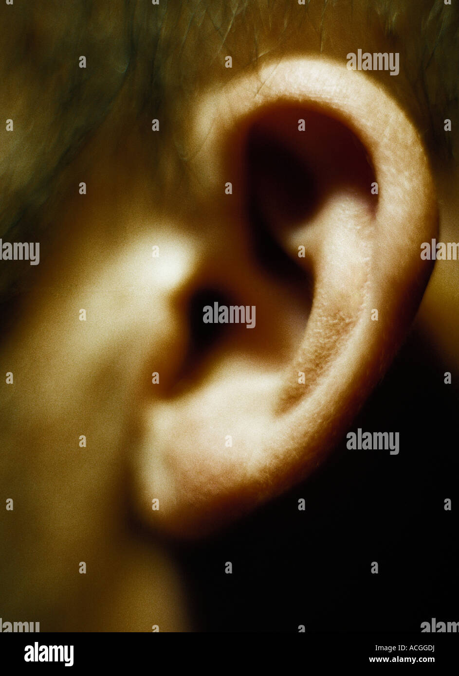 An ear close-up Stock Photo - Alamy