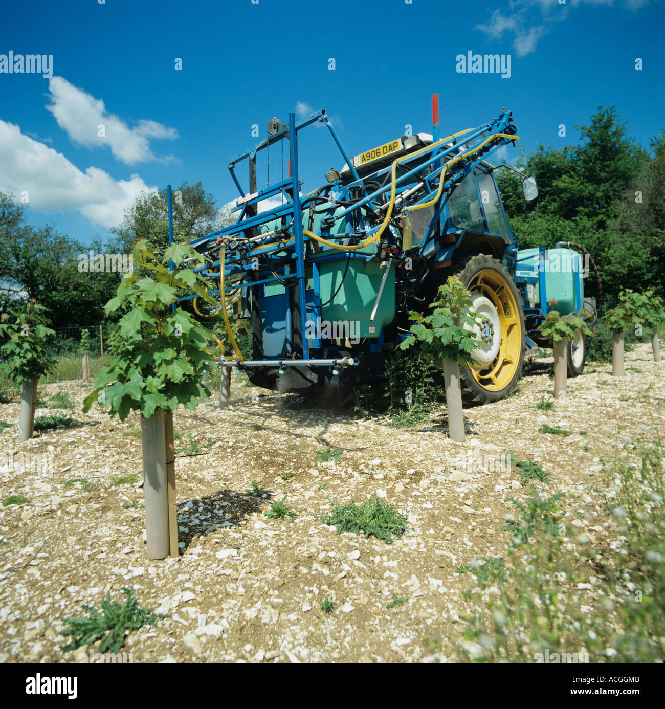 Tractor band spraying vegetation between rows of establishing young ...