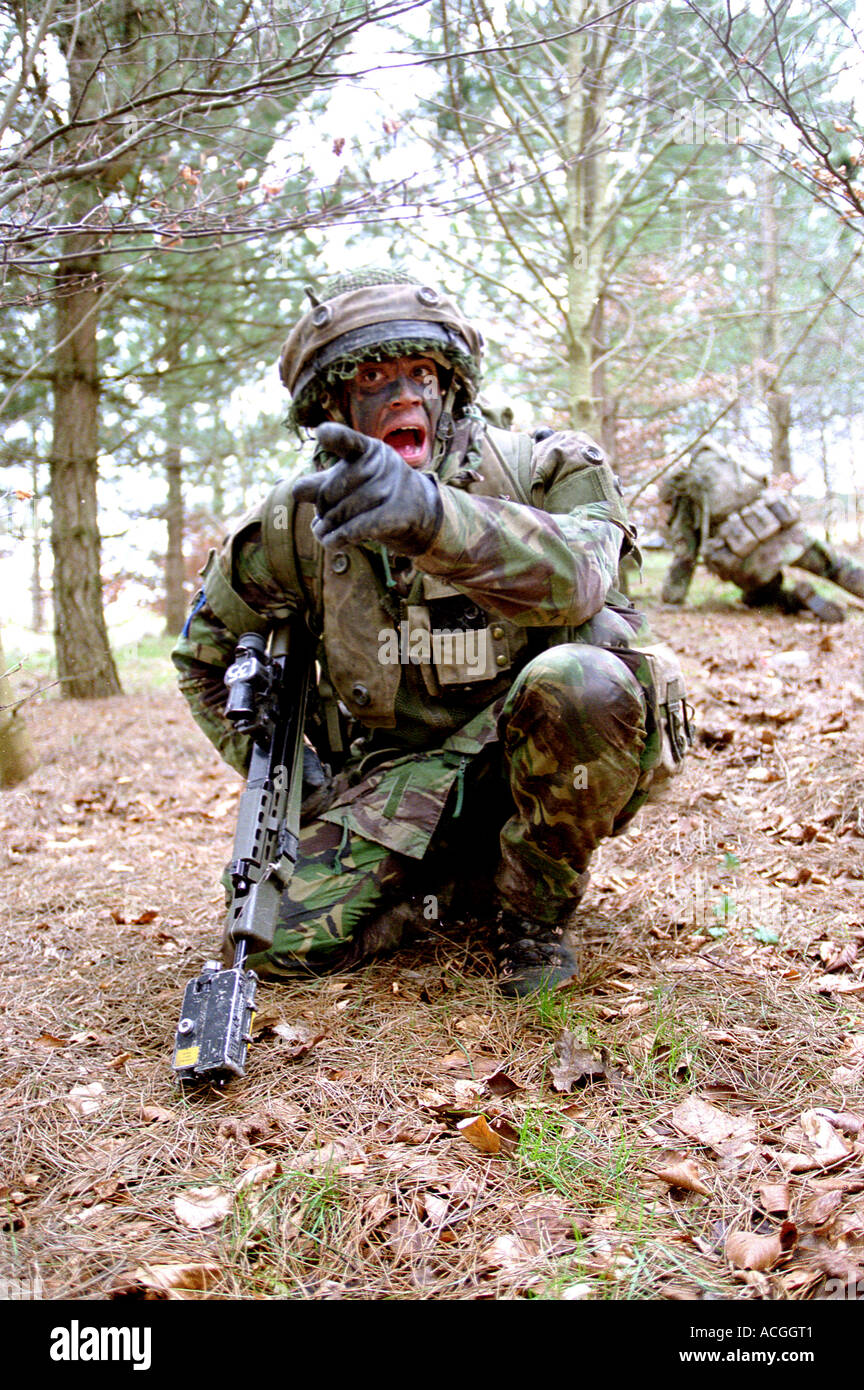 British Army Unit under exercise fire reacts to Ambush Stock Photo - Alamy